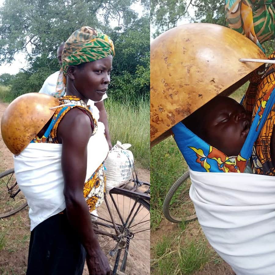 The Calabash: a symbol of the Ghanaian culture - Green Views ...