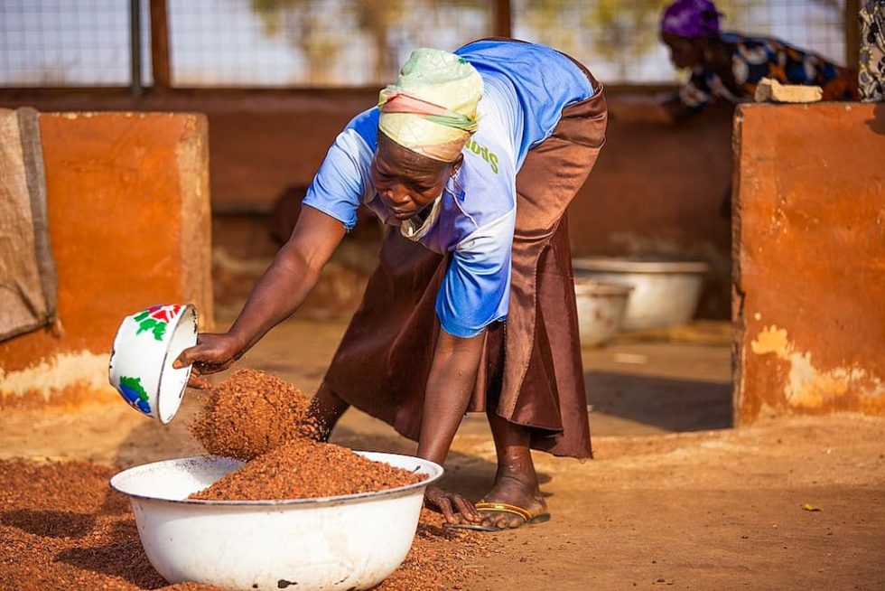 Shea butter from Ghana: importance of cooperatives